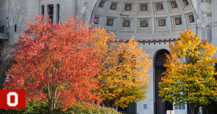’Shoe fields fun memories | Ohio State Alumni Magazine