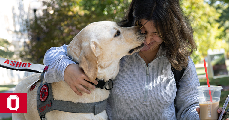 These dogs keep us sane | Ohio State Alumni Magazine