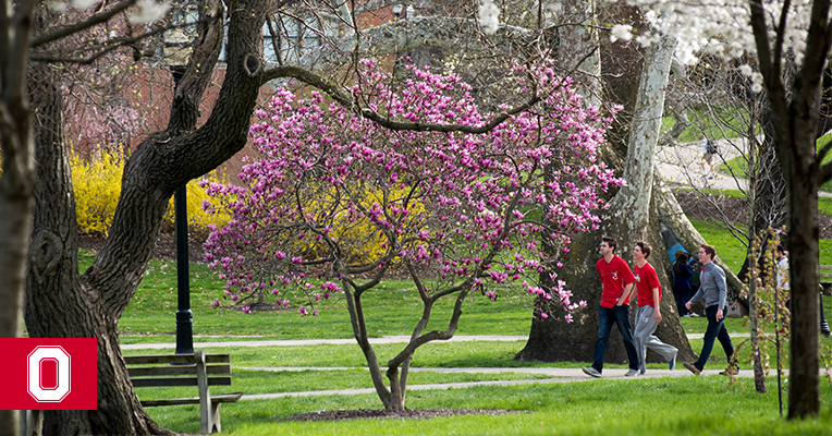 Locales we love: Top 10 spots for Buckeye meetups