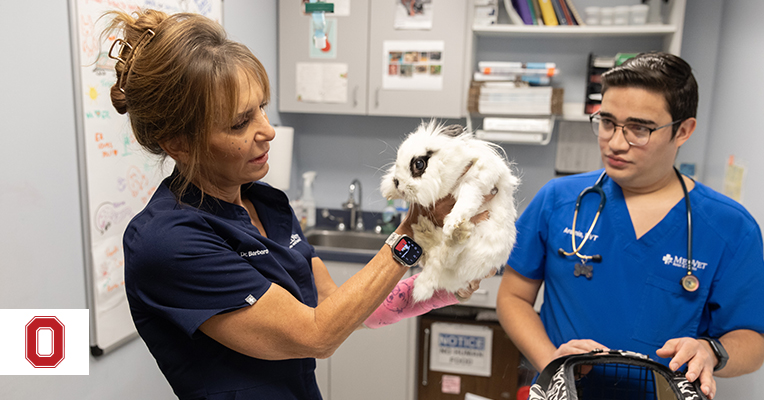 Dr. Oglesbee’s vibrant world—Ohio State Alumni Magazine